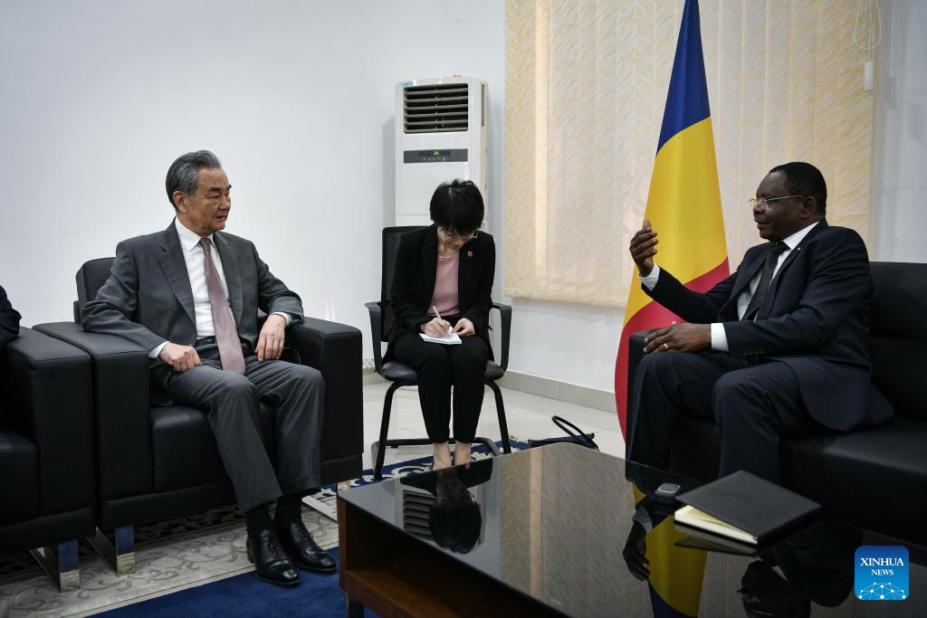 Chadian PM meets Chinese FM to promote mutually beneficial cooperation - People's Daily Online