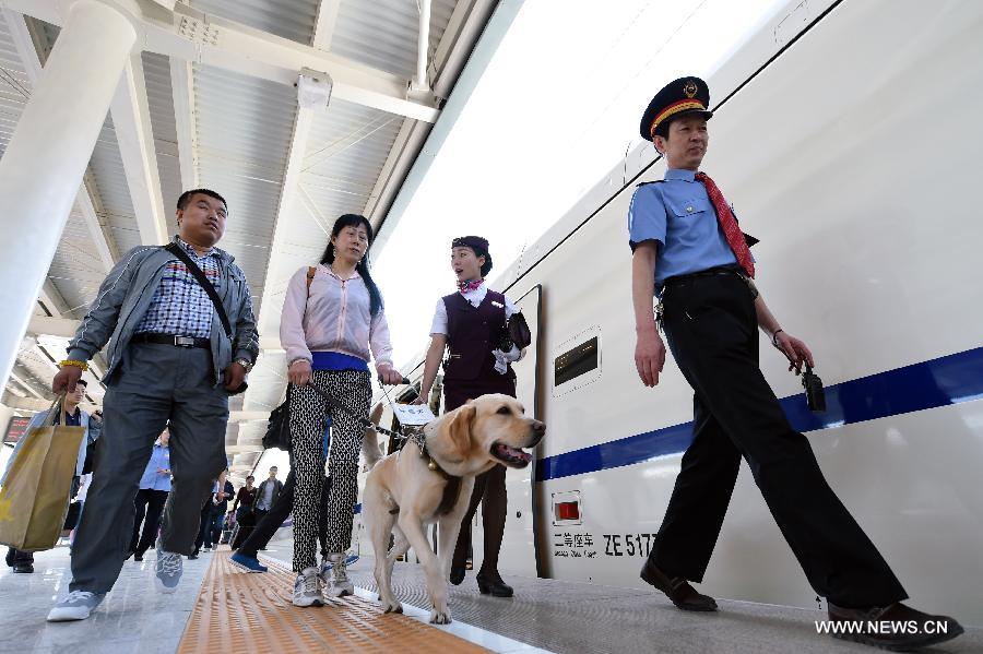 China Railway allows guide dogs to be taken onto trains (2) - People's ...