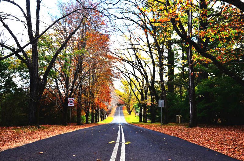 Mount Wilson in the colors of autumn - People's Daily Online