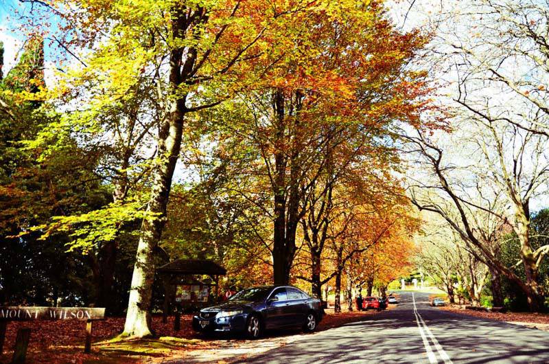 Mount Wilson in the colors of autumn (2) - People's Daily Online