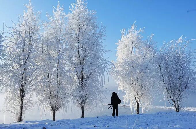 Frozen World: Gorgeous Rime Seen in NE China’s Jilin - People's Daily ...