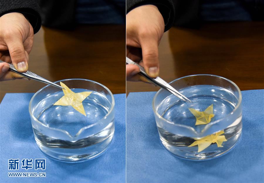 Chinese Scientists Develop Innovative shape-shifting Material - People ...