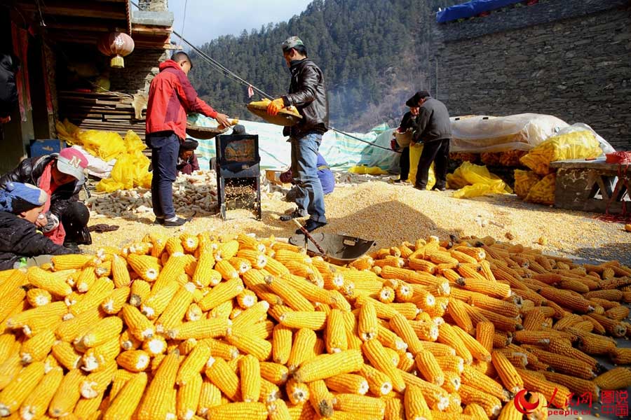 Moments in the life of Qiang people in Sichuan (10) - People's Daily Online