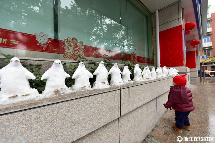 Security guard makes 21 snow penguins in Hangzhou (5) - People's Daily ...