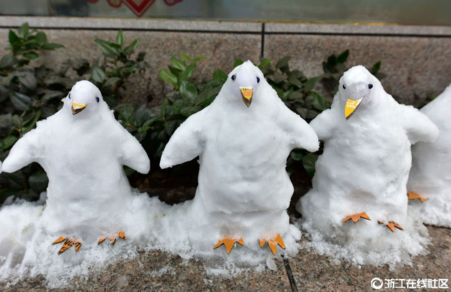 Security guard makes 21 snow penguins in Hangzhou (2) - People's Daily ...