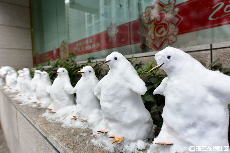 Security guard makes 21 snow penguins in Hangzhou (3) - People's Daily ...