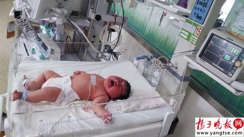 13.8lb baby born in E ‎China‬’s Jiangsu - People's Daily Online