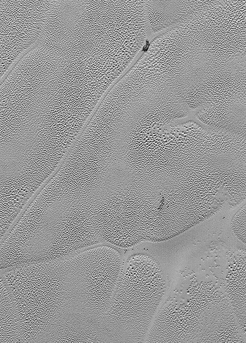 NASA releases high definition photos of Pluto (7) - People's Daily Online