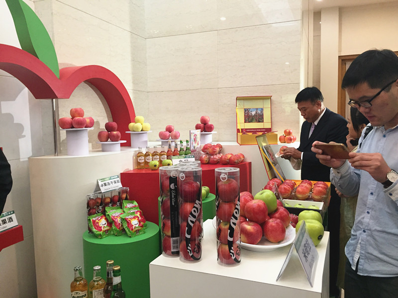 First international apple symposium to open in Shaanxi (2) - People's ...