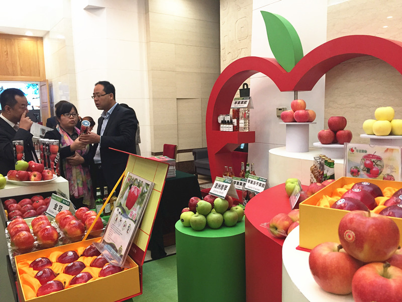 First international apple symposium to open in Shaanxi - People's Daily ...