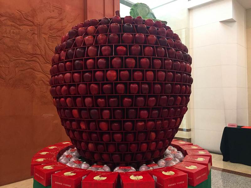 First international apple symposium to open in Shaanxi (5) - People's ...