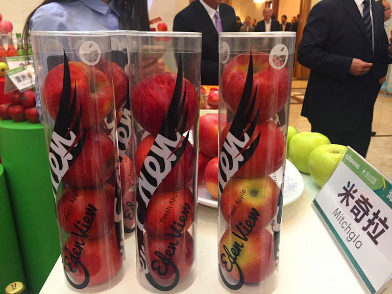 First international apple symposium to open in Shaanxi (4) - People's ...