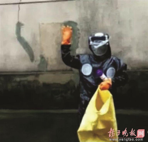 Foodies hunt for wasps to fry - People's Daily Online