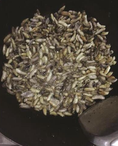 Foodies hunt for wasps to fry - People's Daily Online