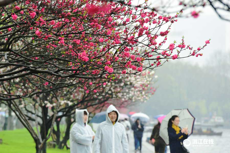 Spring arrives in Hangzhou (2) - People's Daily Online