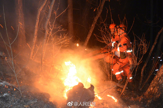 Thousands people battle forest fire in north China - People's Daily Online