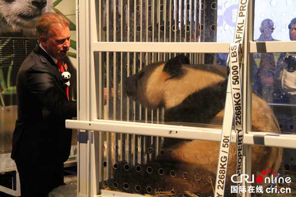 Two giant pandas in Dutch zoo to meet public on May 30 - People's Daily ...
