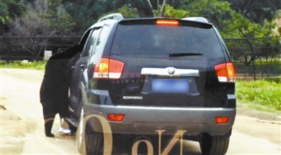 Safety concerns after bear incident at Beijing wildlife park - People's ...