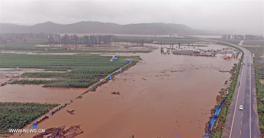 NE China's city initiates Level I emergency response for flood - People ...
