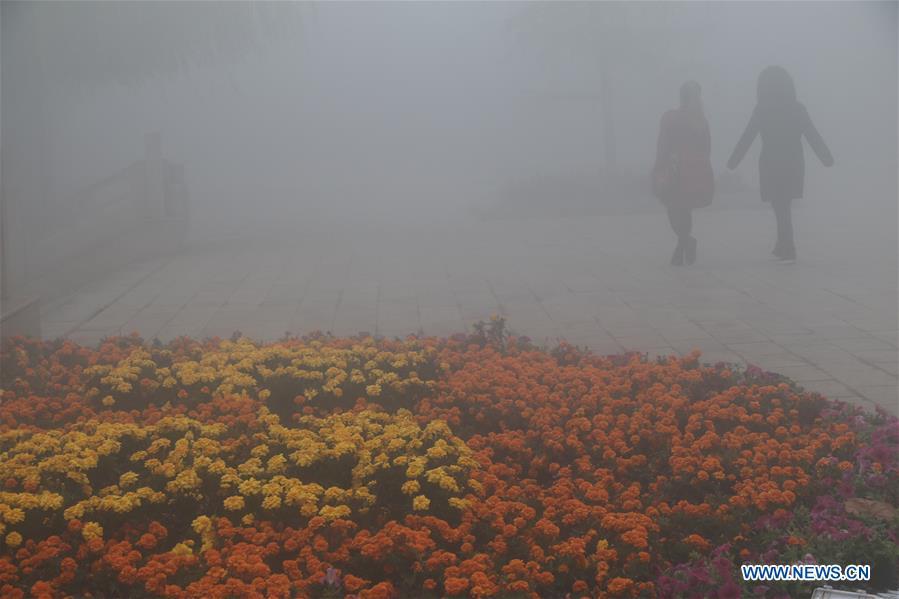 Thick fog hits China's cities (2) - People's Daily Online