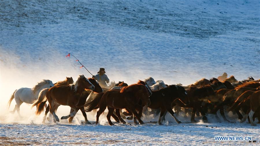 Inner Mongolia greets peak tourism season in winter (7) - People's ...