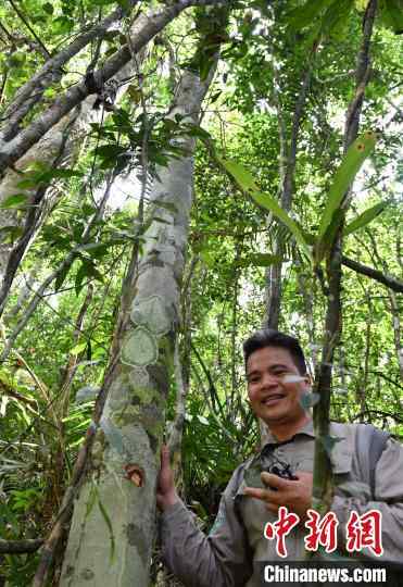 Rainforest rangers become experts through continuous on-the-job ...