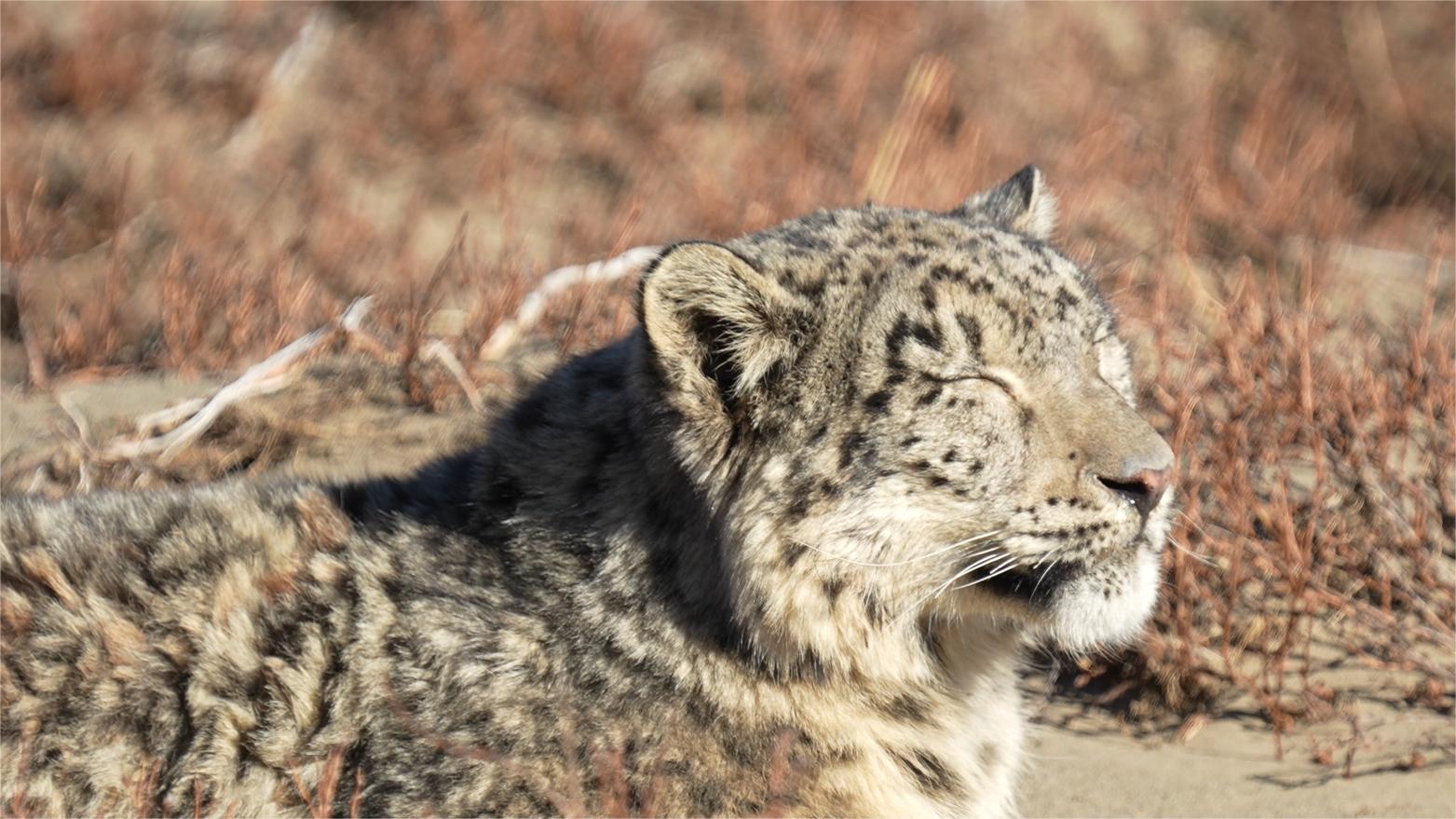 English--People's Daily Online