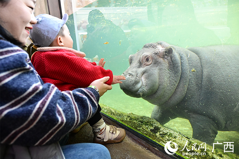 Animals stay warm in winter at Nanning Zoo, S China's Guangxi - People ...