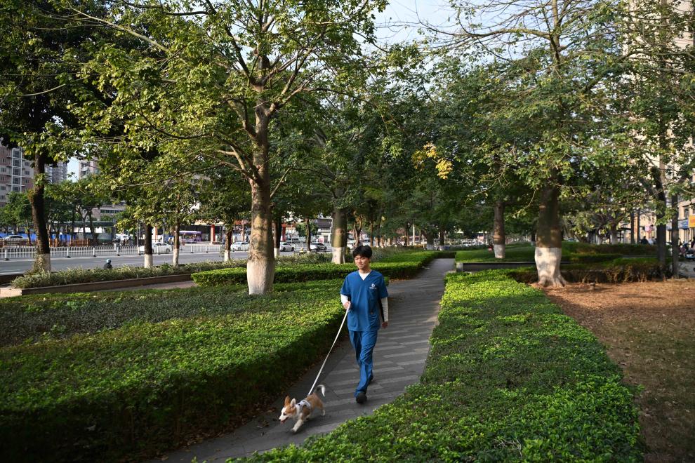 Young Chinese prioritize self-exploration as they navigate "Odyssey ...