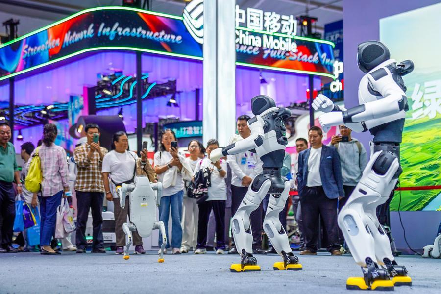 Highlights of 10th China-South Asia Expo - People's Daily Online