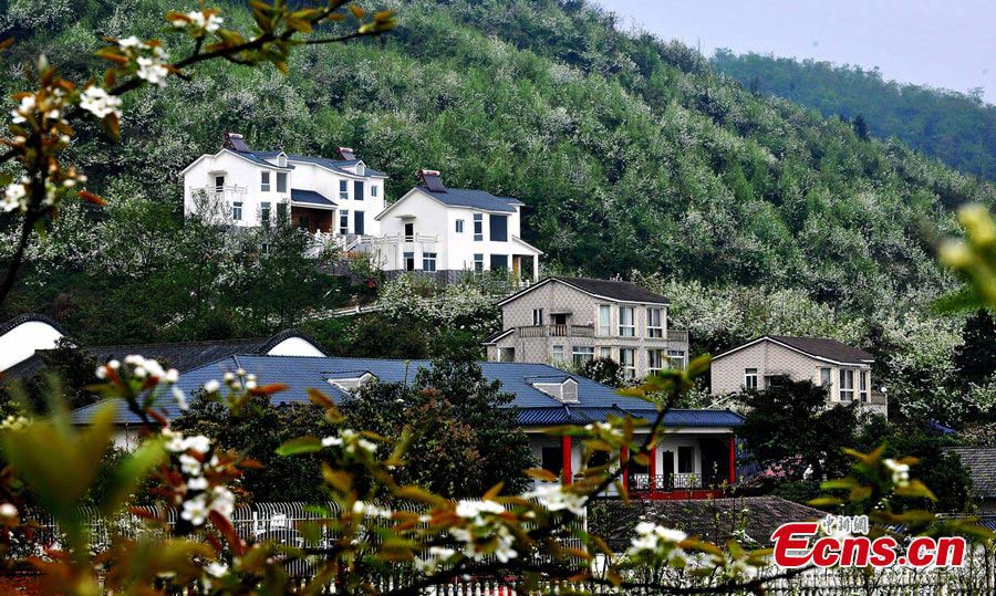 Mianzhu rebuilt into picturesque city after Wenchuan quake (2) - People ...
