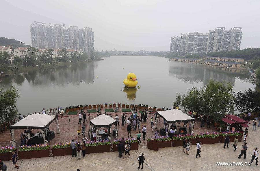 Mini copy of famous huge rubber duck appears in Wuhan (7) - People's ...