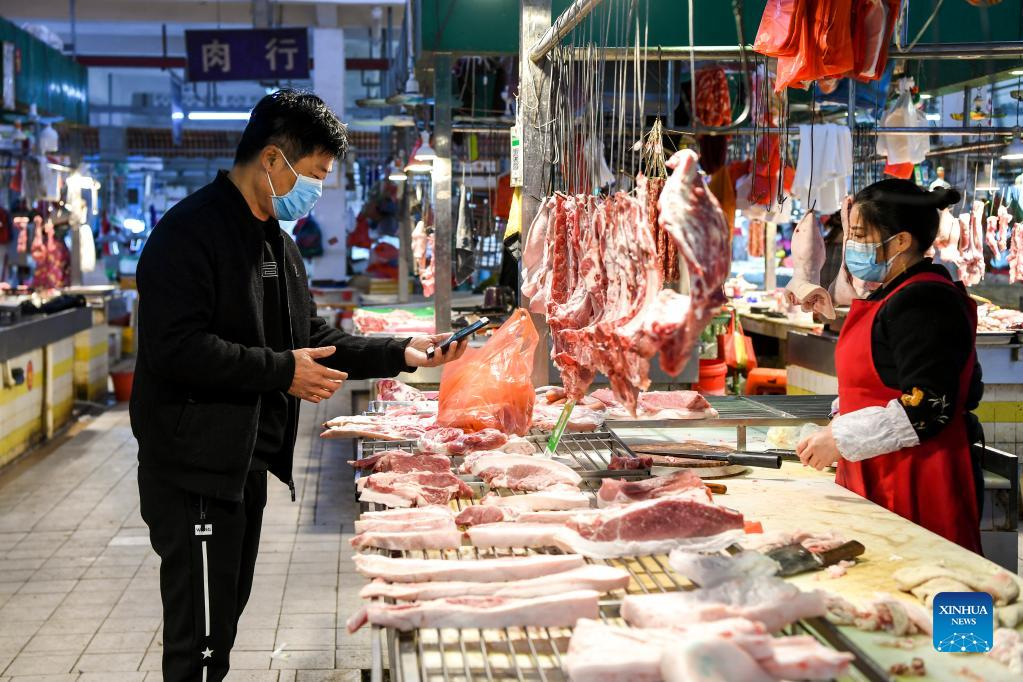 S China's Dongxing City makes efforts to assure market supplies amid ...