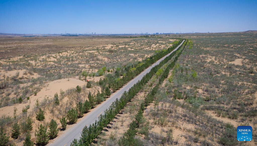 Oasis important protective barrier for ecological system in NW China ...