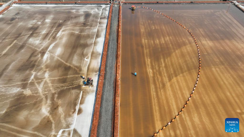 Salt harvested in Tangshan, China's Hebei Province - People's Daily Online