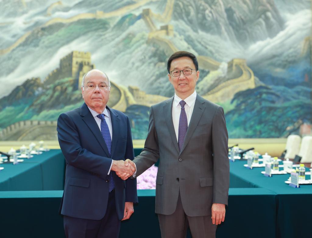 Chinese vice president meets Brazilian FM - People's Daily Online
