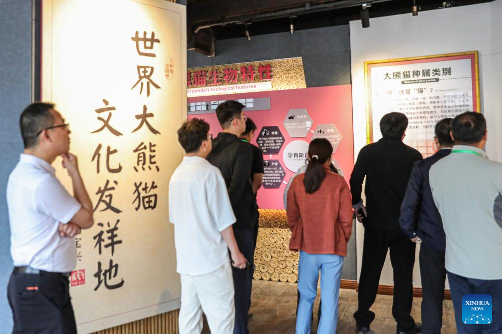 In pics: Giant panda origin camp in Ya'an City, China's Sichuan ...