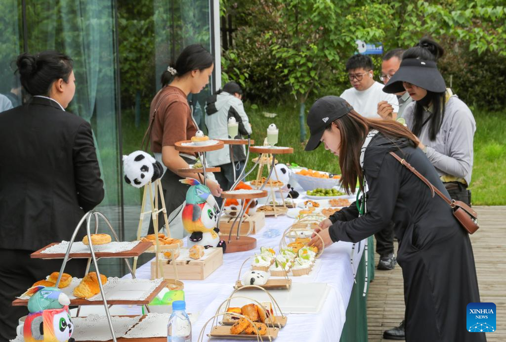 In pics: Giant panda origin camp in Ya'an City, China's Sichuan ...